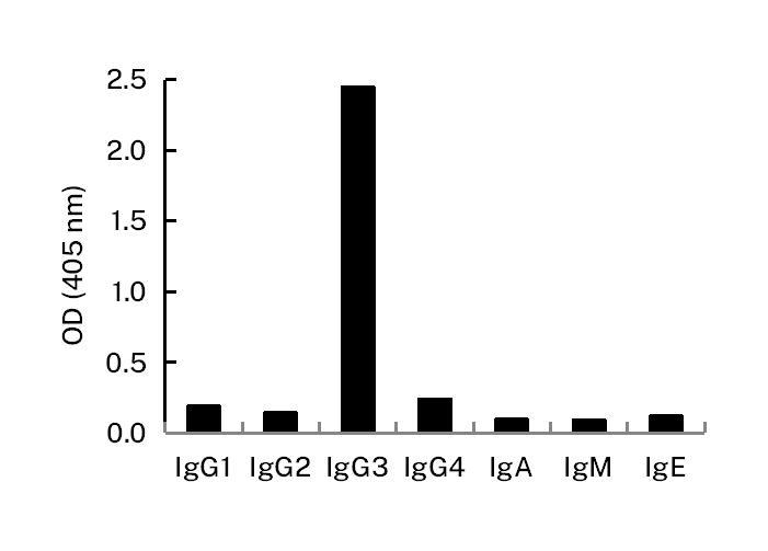 Mouse Monoclonal Antibody to Human IgG3_Human IgG3-远泰生物抗体定制